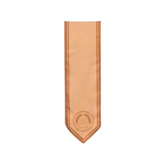 Elisabetta Franchi Fo04F66E2 Seidenschal - - Accessories - Damen - Braun - ONE SIZE