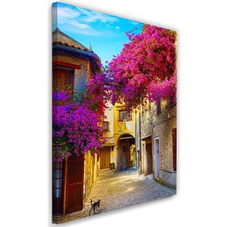 Feeby Bild auf Vlies Leinwand Altes Mietshaus Enge Straße Katze Toskana Italien 30x45 cm Kunstdruck Modern Wandbilder Deko Flur Wohnzimmer Steinpflaster Bla