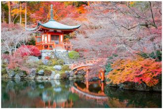 Wallario K&uuml;chenr&uuml;ckwand aus Glas 90 x 60 cm, Motiv: Japanischer Herbstzauber | Spritzschutz abwischbar & pflegeleicht