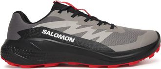 Salomon Laufschuhe Salomon Alphaglide L48000800 Grau