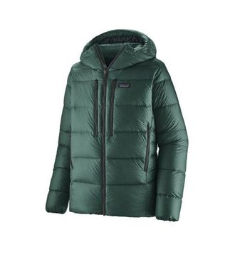 Patagonia Fitz Roy Down Hoody - Daunenjacke - Herren