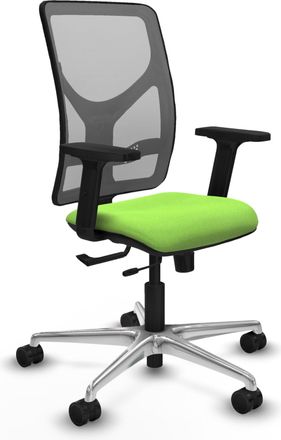 Piqueras y Crespo Schreibtischstuhl mit Rollen, 2D-Armlehnen, h&ouml;henverstellbare Lendenwirbelst&uuml;tze, ausgestattet mit Syncro/Traslack und Schneideschaum, Grau/Pistazie