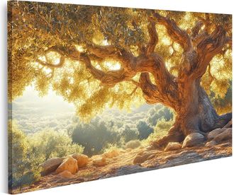 Islandburner Bild auf Leinwand Alter majestätischer Baum im goldenen Sonnenlicht für Wohnzimmer Naturliebhaber Galerie Bilder Wandbilder Poster