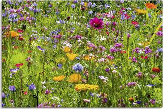 Artland Wanddeko Leinwand Bilder Wandbild 90x60 cm Blumenbilder Blumenwiese Blüten Frühling Blumen Bunt U2KT