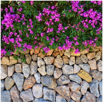 Wallario Sticker/Aufkleber f&uuml;r K&uuml;hlschrank/Geschirrsp&uuml;ler/K&uuml;chenschr&auml;nke, Selbstklebende Folie - 60 x 60 cm, Motiv: Mauer mit pinken Bl&uuml;ten