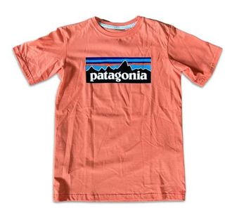 Patagonia P-6 Tops, Corail, XL Mixte