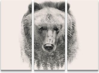 Paul Sinus Art Leinwandbilder | Bilder Leinwand 130x90cm B&auml;r mit Wald - Portrait