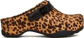 Scholl Femme, Chaussures, Beige, Taille: 36 EU zoccollo in cavallino leopardato