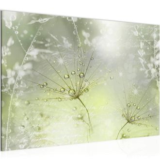 Runa Art Bild Pusteblume Modern Wandbilder Wohnzimmer Schlafzimmer 1 Teilig - Made In Germany - Gr&auml;ser Gr&uuml;n Grau Flur 205615b