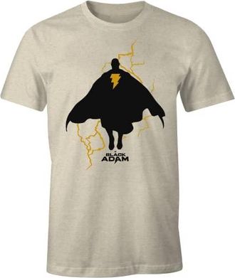 DC Comics MEBLADMTS009 T-Shirt, Natural, XL Homme