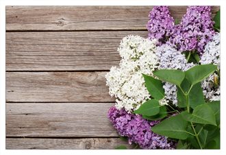 Wallario selbstklebendes Poster - Fliederbl&uuml;ten auf Holz, Aufkleber in Premiumqualit&auml;t, Klebefolie Gr&ouml;&szlig;e: 61 x 91,5 cm (Maxiposter)