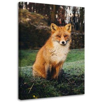 Feeby Tableau sur toile Renard For&ecirc;t Nature Animaux 70x100