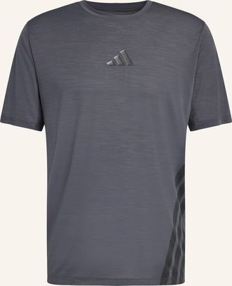 ADIDAS TERREX Adidas Terrex Funktionsshirt Terrex Xperior grau
