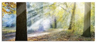 Pixxprint Glasbild Panorama, Wandbild aus Echtglas, Sonnenstrahlen im Wald, 100x40 cm, inkl. Aufh&auml;ngung und Abstandshalter