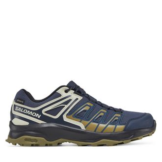 Salomon Trekkingschuhe Salomon Extegra Gore-Tex L47799800 Grau