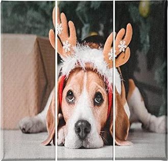 Homemania HM203PKNV-121 Hundeschild, 3-teilig, Tiere, Wohnzimmer, Schlafzimmer, Mehrfarbig, Polyester, Holz, 69 x 3 x 50 cm