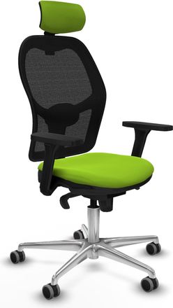 Piqueras y Crespo R&uuml;ckenst&uuml;tzstuhl mit 3D-Armen, h&ouml;henverstellbarer Lendenwirbelst&uuml;tze und h&ouml;henverstellbarem Kopfteil, Schwarz / Pistazie