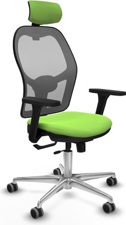 Piqueras y Crespo Ergonomischer Computerstuhl mit 3D-Armen, h&ouml;henverstellbarer Lendenwirbelst&uuml;tze und h&ouml;henverstellbarem Kopfteil, Grau/Pistazie