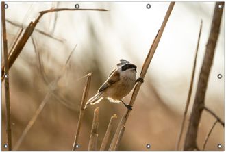 Wallario Outdoor-Poster f&uuml;r Garten oder Balkon Vogel im Schilf, Motivbanner Gr&ouml;&szlig;e: ca. 100 x 150 cm, Outdoor-Bild
