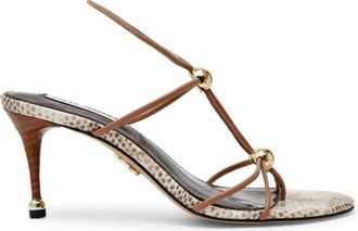 Steve Madden Ramos - Sandaletten in Naturfarbe mit Schlangenmuster und goldfarbener Verzierung-Mehrfarbig