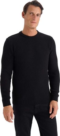 DeFacto Herren Pullover & Strickjacken - Vielseitige Pullover für Herren Black M