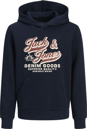 Jack & Jones JUNIOR Jjelogo Sweat Hood 2 Col Aw25 Noos Jnr
