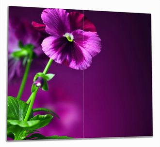 Wallario Herdabdeckplatte/Spritzschutz aus Glas, 2-teilig, 60x52cm, f&uuml;r Ceran- und Induktionsherde, Lila Stiefm&uuml;tterchen