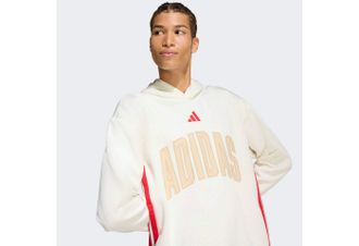 adidas Kapuzensweatshirt STADIUM GRAPHIC HOODIE