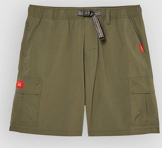 Quiksilver Bm Cyclone Cargo Boardshorts grape leaf