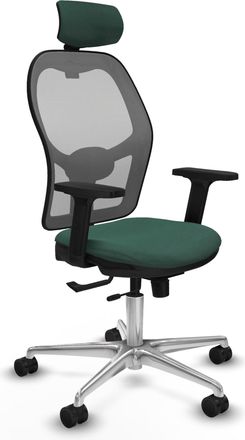 Piqueras y Crespo Ergonomischer Computerstuhl mit 2D-Armen, h&ouml;henverstellbare Lendenwirbelst&uuml;tze und Kopfteil, h&ouml;henverstellbar und neigbar, Grau/Flaschengr&uuml;n