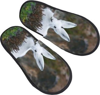 Generic L&eacute;g&egrave;re Pantoufles Femmes Lapin blanc dans les arbres Maison Pantoufles Classiques Chaussons Homme pour Femme Maison Ext&eacute;rieur M