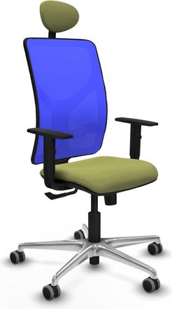 Piqueras y Crespo Armlehnenstuhl, h&ouml;henverstellbare Lendenwirbelst&uuml;tze und festes Kopfteil, ausgestattet mit 3 Positionen und Schneideschaum. Mit Rollen von 65 mm Parke