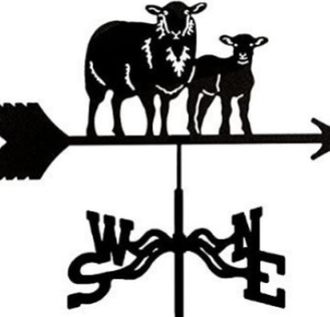 Generic Wetterfahne Aus Schwarzem Metall, Windrichtungsanzeiger f&uuml;R Schuppen, Garten, Terrasse, Dekoration, Windrichtungsanzeiger f&uuml;R Den Au&szlig;Enbereich(A11)