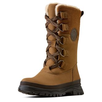 Ariat Womens Wetherby Waterproof Insulated Boots in Dark Earth, B Medium Width, Size 38.5, by Ariat