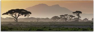 Paul Sinus Art Panoramabild auf Leinwand und Keilrahmen 120x40cm Afrika Wiesen Bäume Berge Sonnenuntergang