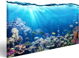 Islandburner Bild auf Leinwand Unterwasser Szene Riff Und Tropischen Fischen Aquarium Bilder Wandbilder Poster