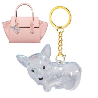 Generico Porte-cl&eacute;s en peluche pour chien - Porte-monnaie pour chat - Pendentif porte-photo transparent pour - Cadeau pour - Sac &agrave; dos de voiture