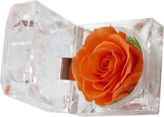 Yarnow Konservierte Rose in Glaskuppel, Nie Verwelkte Rose zum Geburtstag Und Jahrestag, Orange