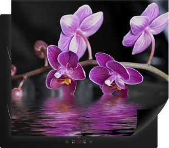 Decorwelt Herdabdeckplatte aus Kunststoff Induktionsmatte Herdabdeckmatte Abdeckung Ceranfeld Orchidee Schwarz Pink 60x52 cm Abdeckplatte Ceranfeldabdeckung Ant