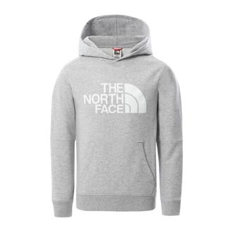 The North Face Homme, Sweatshirts et sweats &agrave; capuche, Gris, Taille: S Sweat &agrave; capuche int&eacute;rieur molletonn&eacute; - The North Face