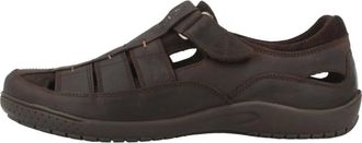 Panama Jack Homme, Chaussures, Brun, Taille: 43 EU Napa Grass Sandales Plates