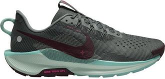 Nike Pegasus Trail 5 M - Trailrunning Schuhe - Herren