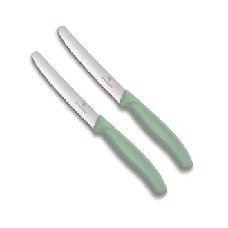 Victorinox by Swiss Army | Tafelmesser Swiss Classic | 2 Stück | Hellgrün | Swiss Made | ideal auch als Frühstücksmesser