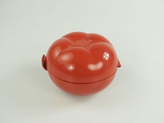 Tupperware To Go Obstbox Tomate rot Tomatendose Dose box tomato FBA 17617