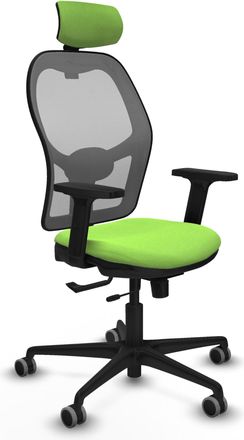 Piqueras y Crespo Ergonomischer Stuhl mit 2D-Armen, h&ouml;henverstellbare Lendenwirbelst&uuml;tze und h&ouml;henverstellbares Kopfteil, Grau/Pistazie