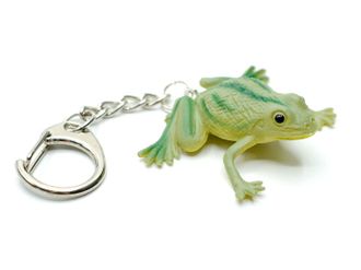 Miniblings Frosch Schl&uuml;sselanh&auml;nger 47mm Pfeilgiftfrosch Dendrobaten gr&uuml;ne Streifen - Handmade Modeschmuck I Anh&auml;nger Schl&uuml;sselring Schl&uuml;sselband Keyring