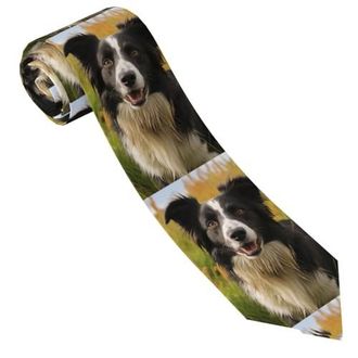 Generic Cravate Mariage, Chien Border Collie Mohado, officielle Cravate Homme Mariage, Microfibre Cravates Mariage pour daffaires, D&eacute;contract&eacute;, C&eacute;r&eacute;monie