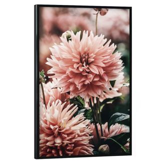 artboxONE Poster mit schwarzem Rahmen 45x30 cm Blumen Floral Beautiful Flowers Photography - Bild floral