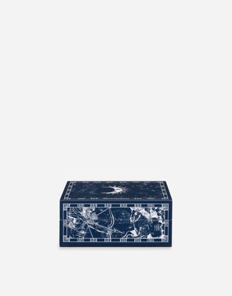Dolce & Gabbana Kleine Dekorierte Plexiglas-box - Dekorative Schachteln Mehrfarbig Onesize