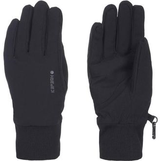 Icepeak Herren Handschuhe HARTWELL